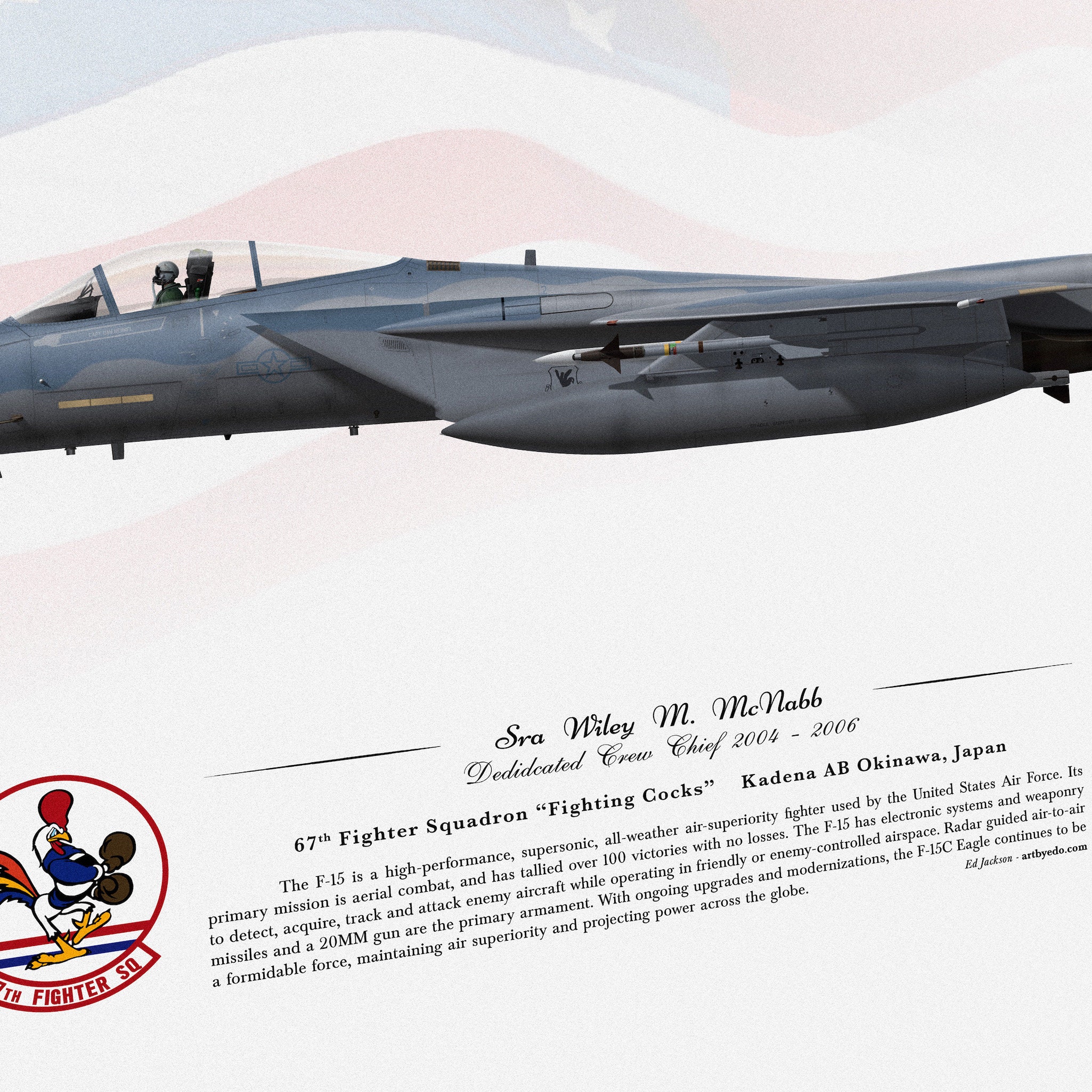 Custom Personalized Military Aircraft Poster Print | Side View ...