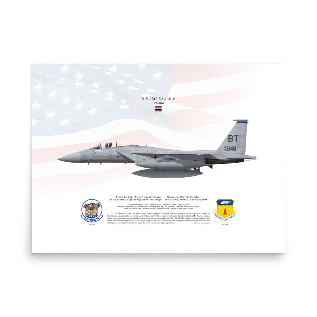 F-15C Eagle 79-0048 Gulf War 525TFS | Side View | Air Force USAF ...