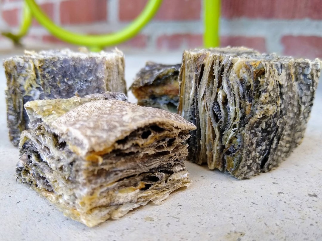 Cod Fish Skins for Hermit Crabs - Etsy