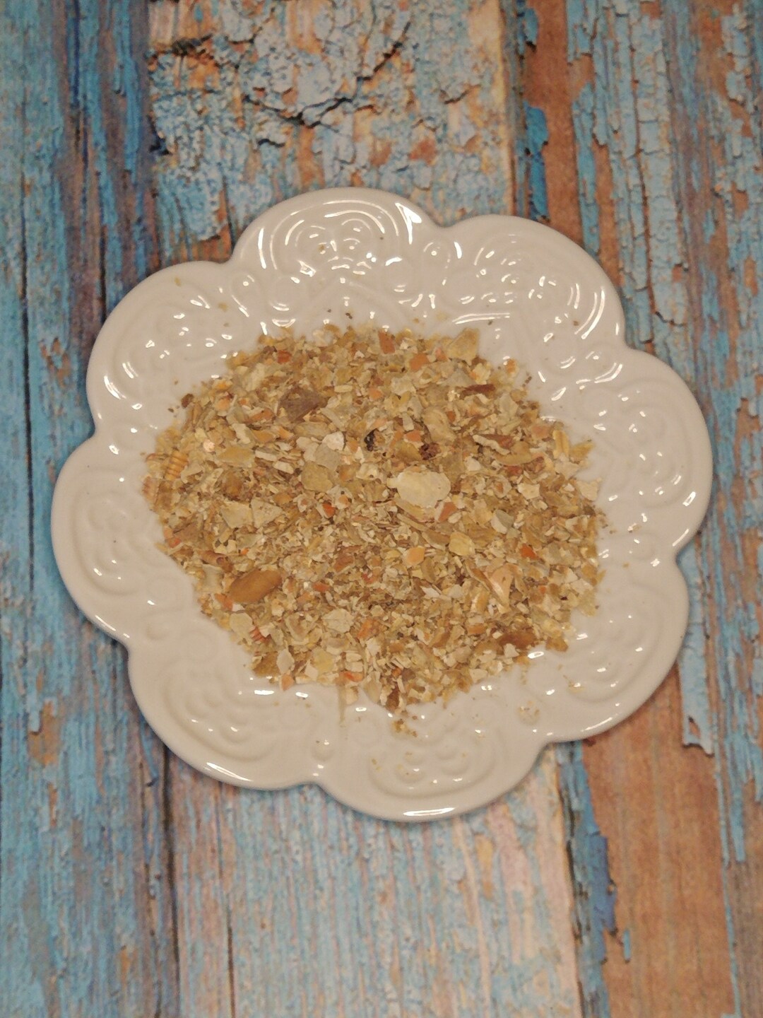 Crab and Lobster Exoskeleton for Hermit Crabs - Chitin Source - Etsy