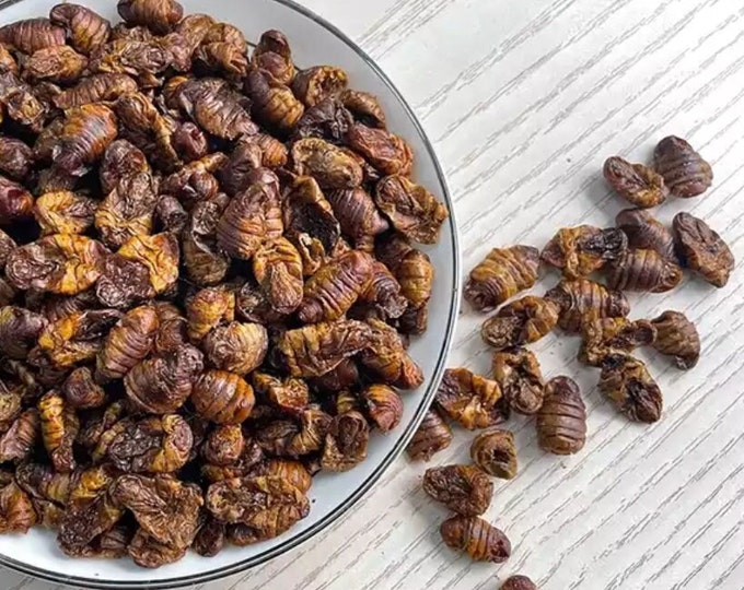 Freeze Dried Silkworm Pupae for Hermit Crabs - Etsy
