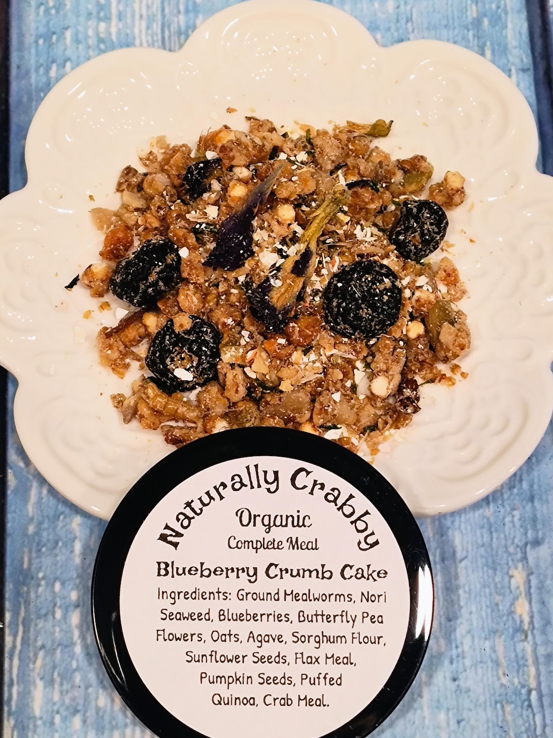 Blueberry Crumb Cake Complete Meal for Hermit Crabs - Etsy