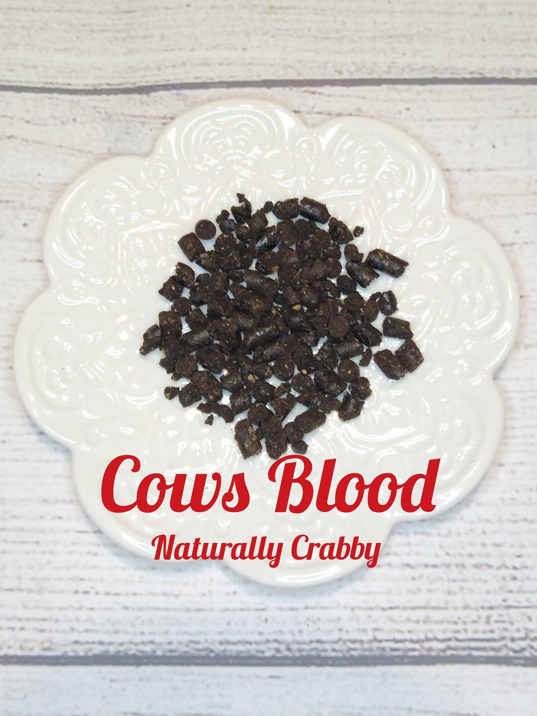 Cows Blood for Hermit Crabs - Etsy