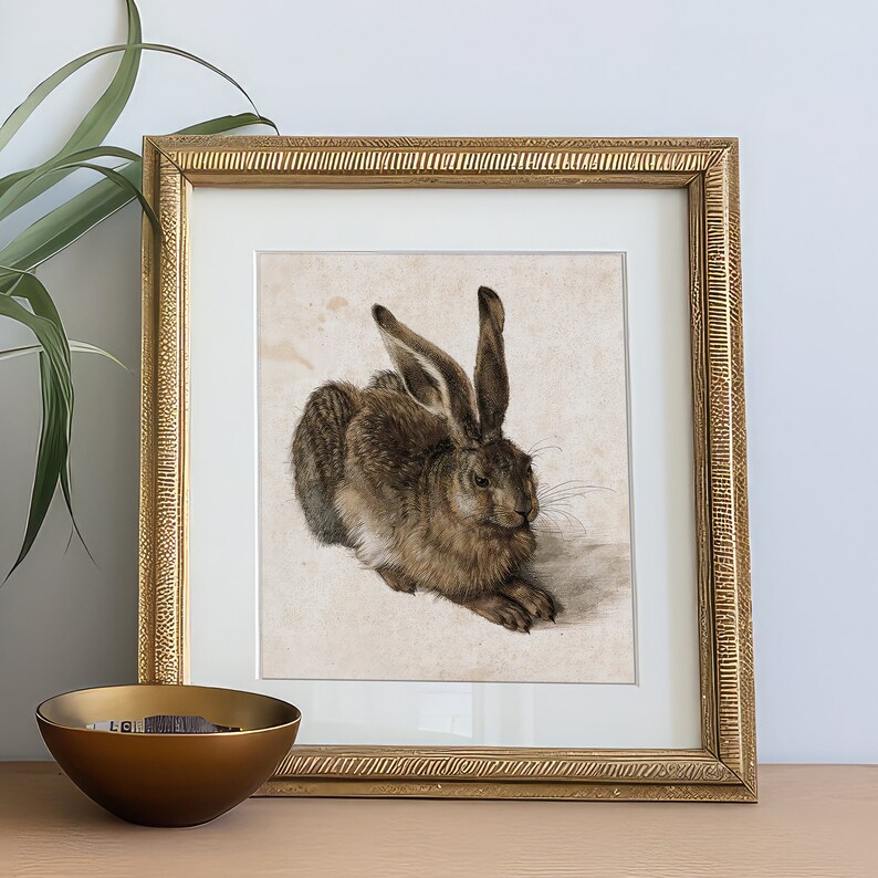 Vintage Hare Print, Durer Hare Print, Bunny Present, Hare Gifts, French ...