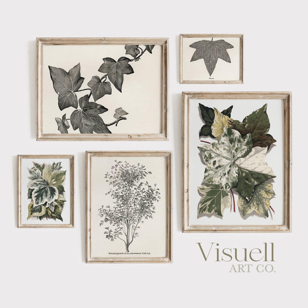 Printable Ivy Gallery Wall Art SET | Vintage Ivy Prints Art | Ivy Art ...
