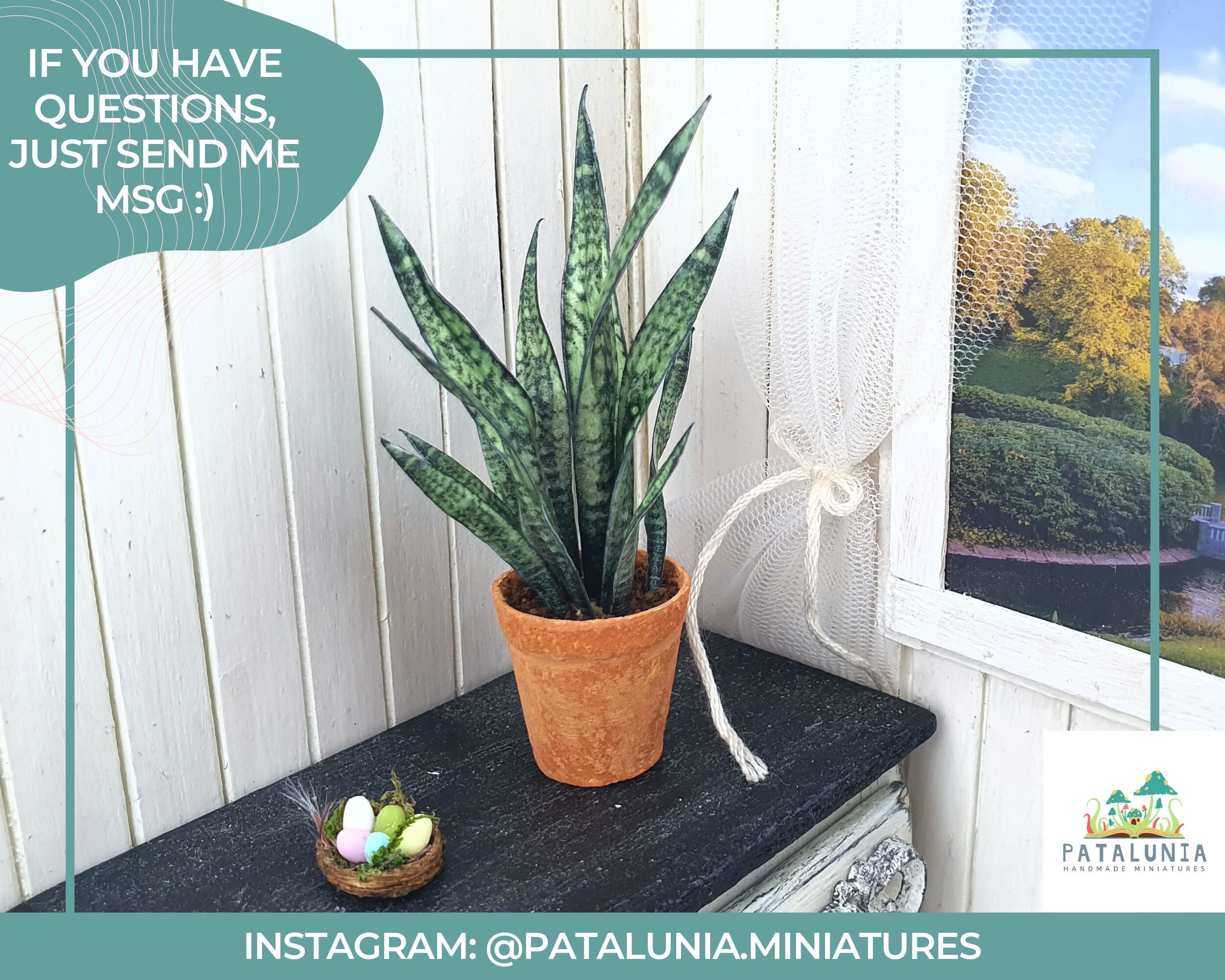 Kit Miniature Plants Snake Plant Dollhouse Flowers Miniatures in 12th ...