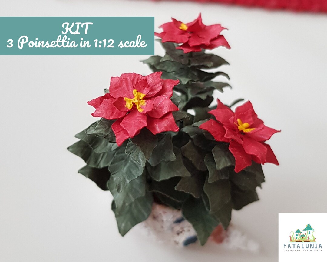 Kit Miniature Plants Red Poinsettia Flowers Dollhouse Miniatures in ...
