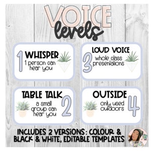 Classroom Voice Level Posters and Chart | EDITABLE Signs Soft Boho Chic ...
