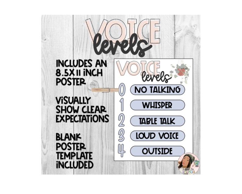 Classroom Voice Level Posters and Chart | EDITABLE Signs Soft Boho Chic ...