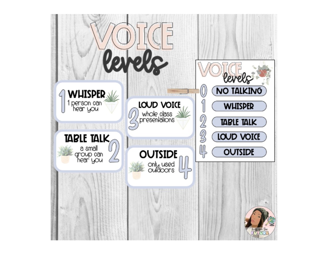 Classroom Voice Level Posters and Chart | EDITABLE Signs Soft Boho Chic ...