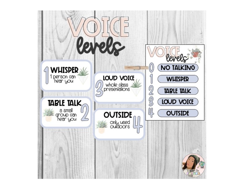 Classroom Voice Level Posters and Chart | EDITABLE Signs Soft Boho Chic ...