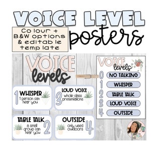 Classroom Voice Level Posters and Chart | EDITABLE Signs Soft Boho Chic ...