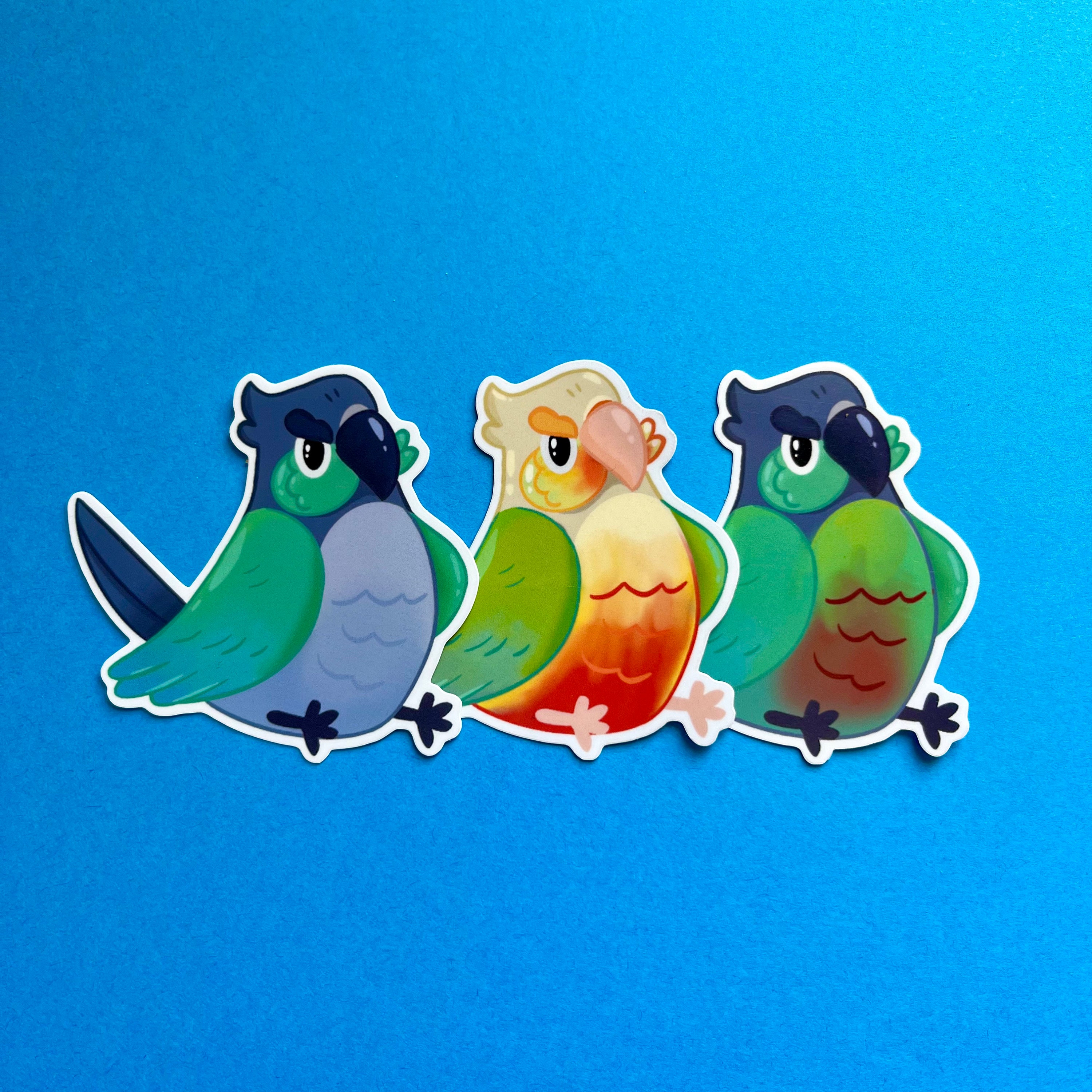 Green Cheek Conure Sticker Turquoise Green Cheek Conure - Etsy