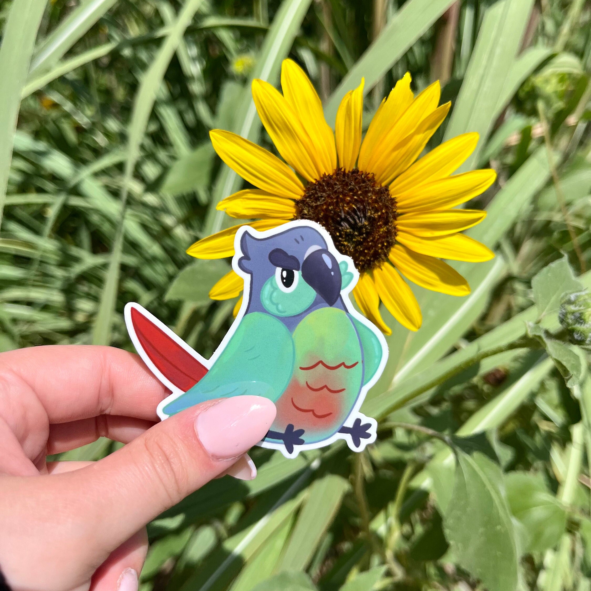 Green Cheek Conure Sticker Turquoise Green Cheek Conure - Etsy