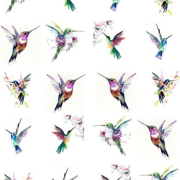 Hummingbird Watercolor - Etsy