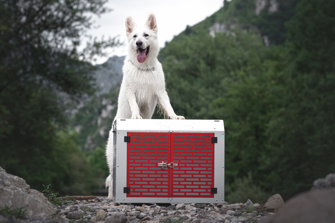 Aluminum Dog Car Carrier, Customizable Aluminum Kennel, Custom Dog ...