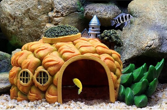 Axolotl Cave Axolotl Hiding Cave Aquarium Pineapple Cave - Etsy
