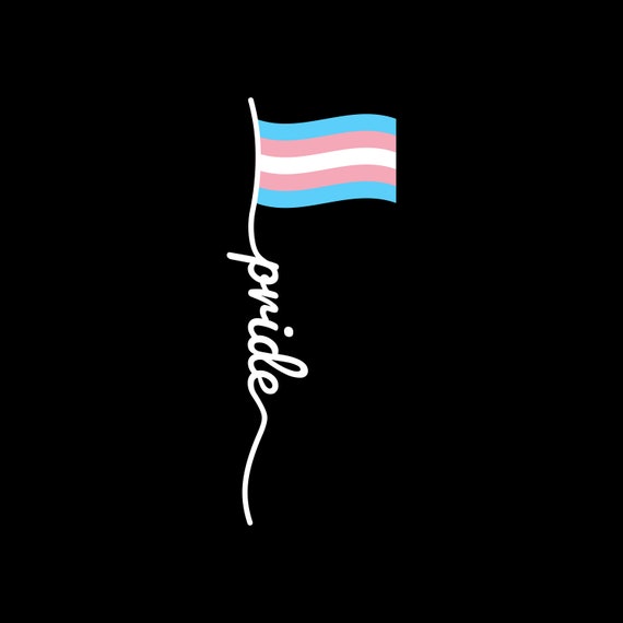 Trans Pride Flag Script Font LGBTQ Transgender Flag Cricut - Etsy