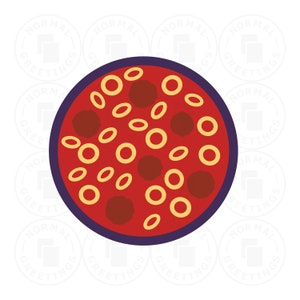 Spaghettios Meatballs SVG PNG Bundle Cricut Cut Files Layered Clip Art ...