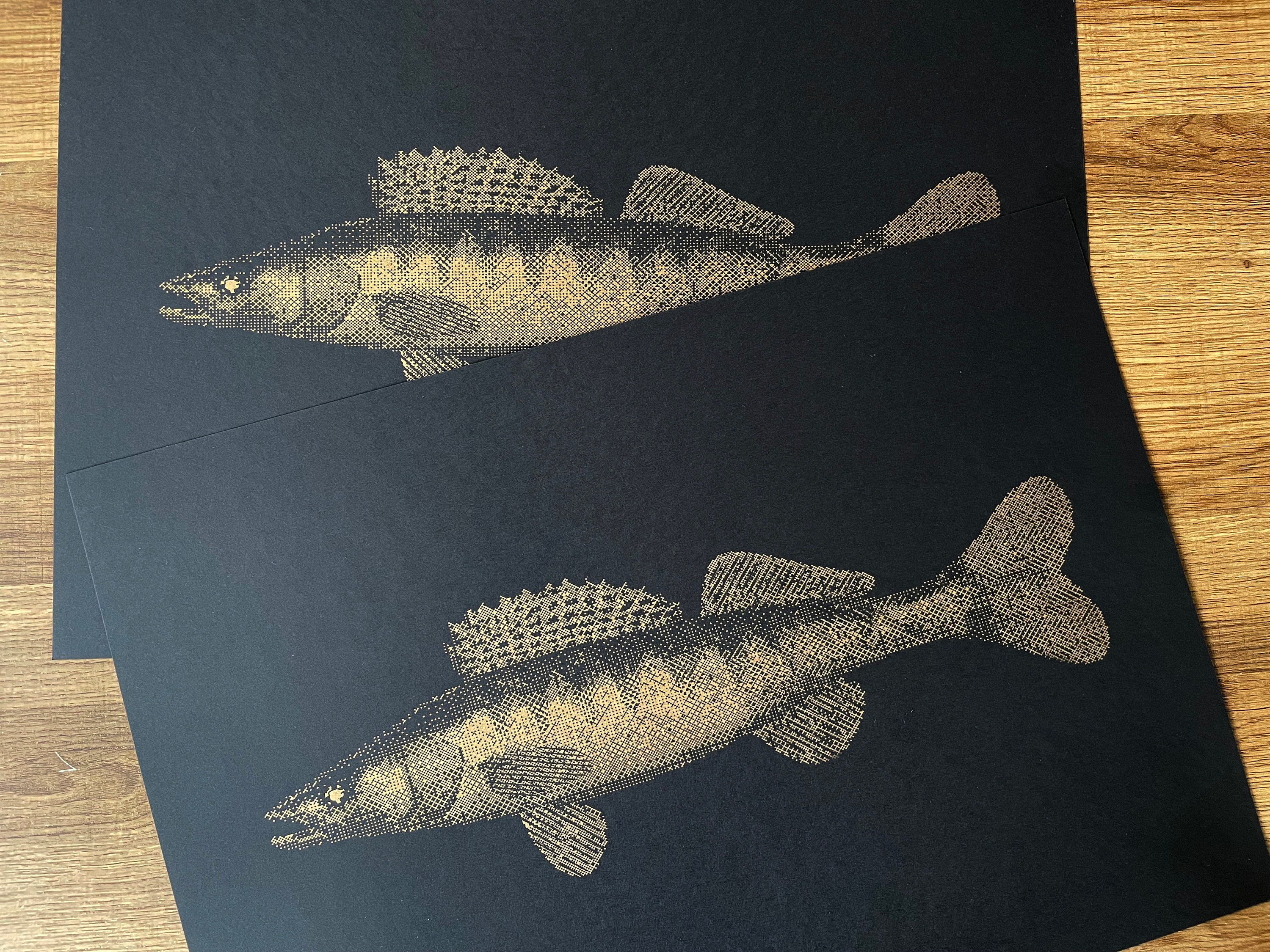Zander Riso Print A3 Gold on Black Risograph Fish Fishing Pike Perch ...