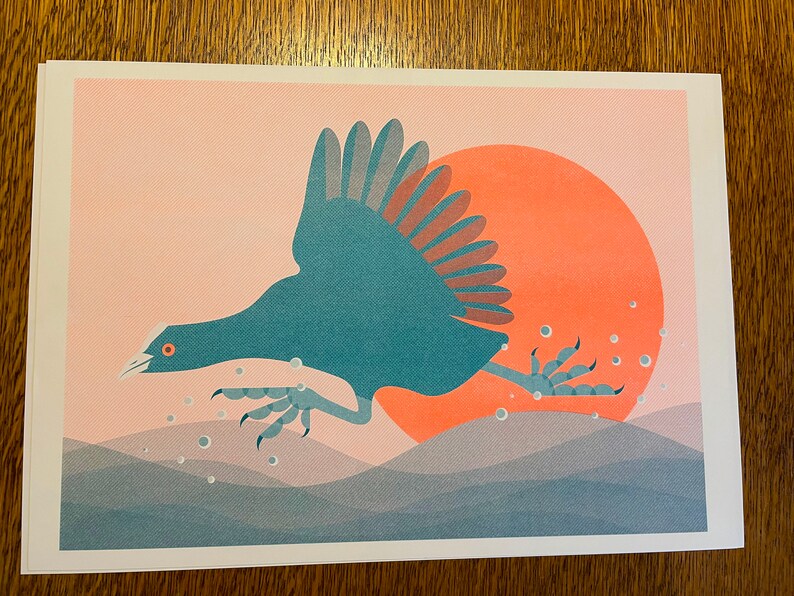 Coot Riso Print 2 Colour A3 Risograph Bird Duck - Etsy
