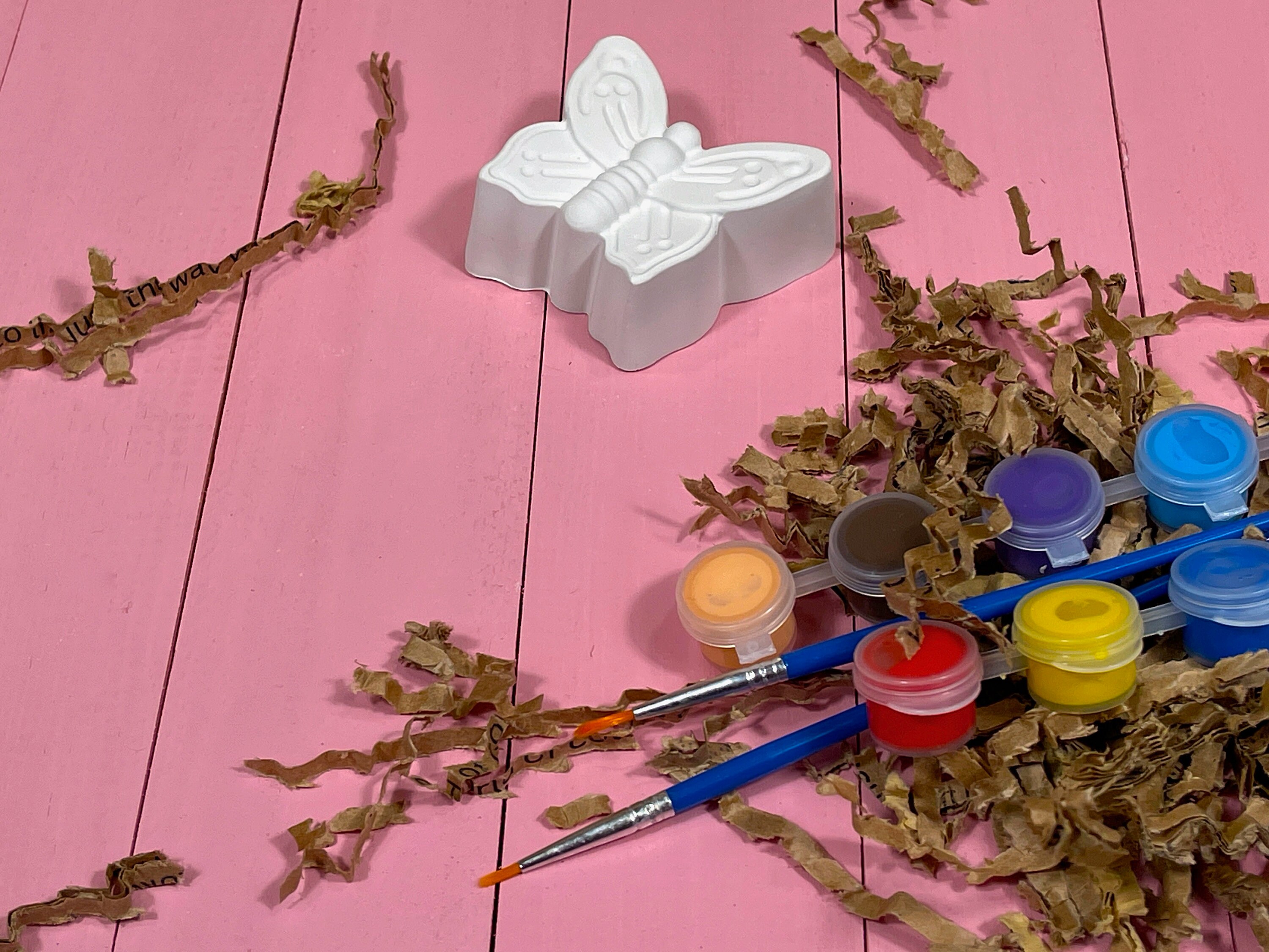 Paint Your Own Craft Insect, Kids Activity Paint, Plaster of Paris, DIY ...