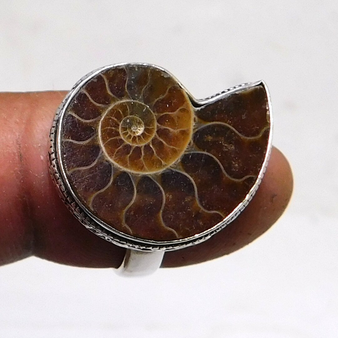 Ammonite Fossil and Sterling Silver Ring, Fossilized Ammonite Ring ...