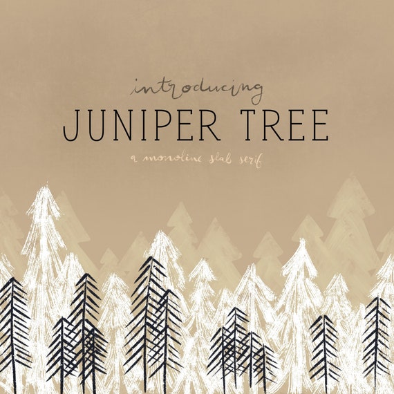 Juniper Tree Font Family // Slab-serif Font // Monoline Font - Etsy