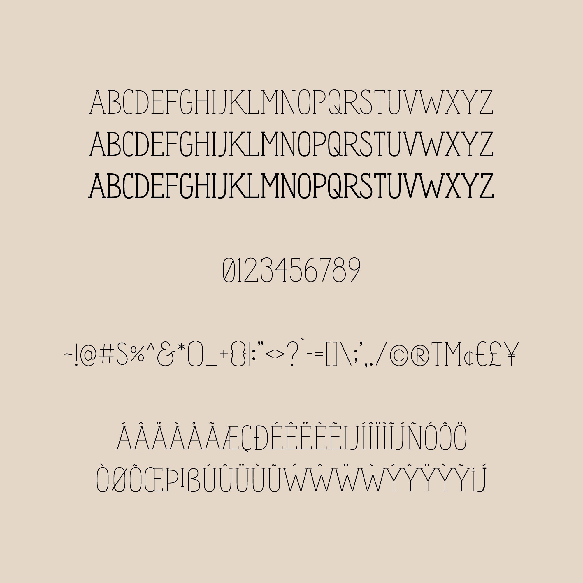 Juniper Tree Font Family // Slab-serif Font // Monoline Font ...