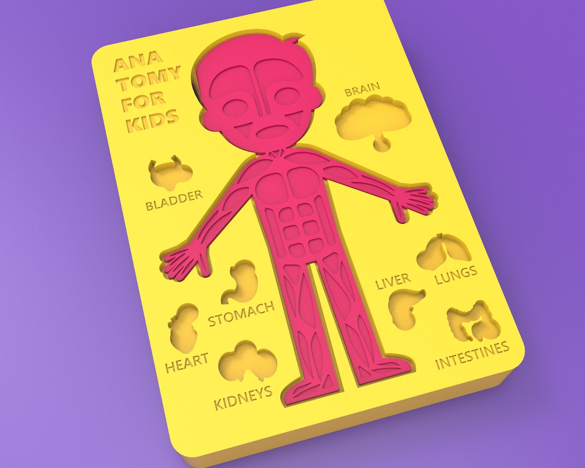 3D Printable Human Anatomy Learning Game for Kids - STL File for ...