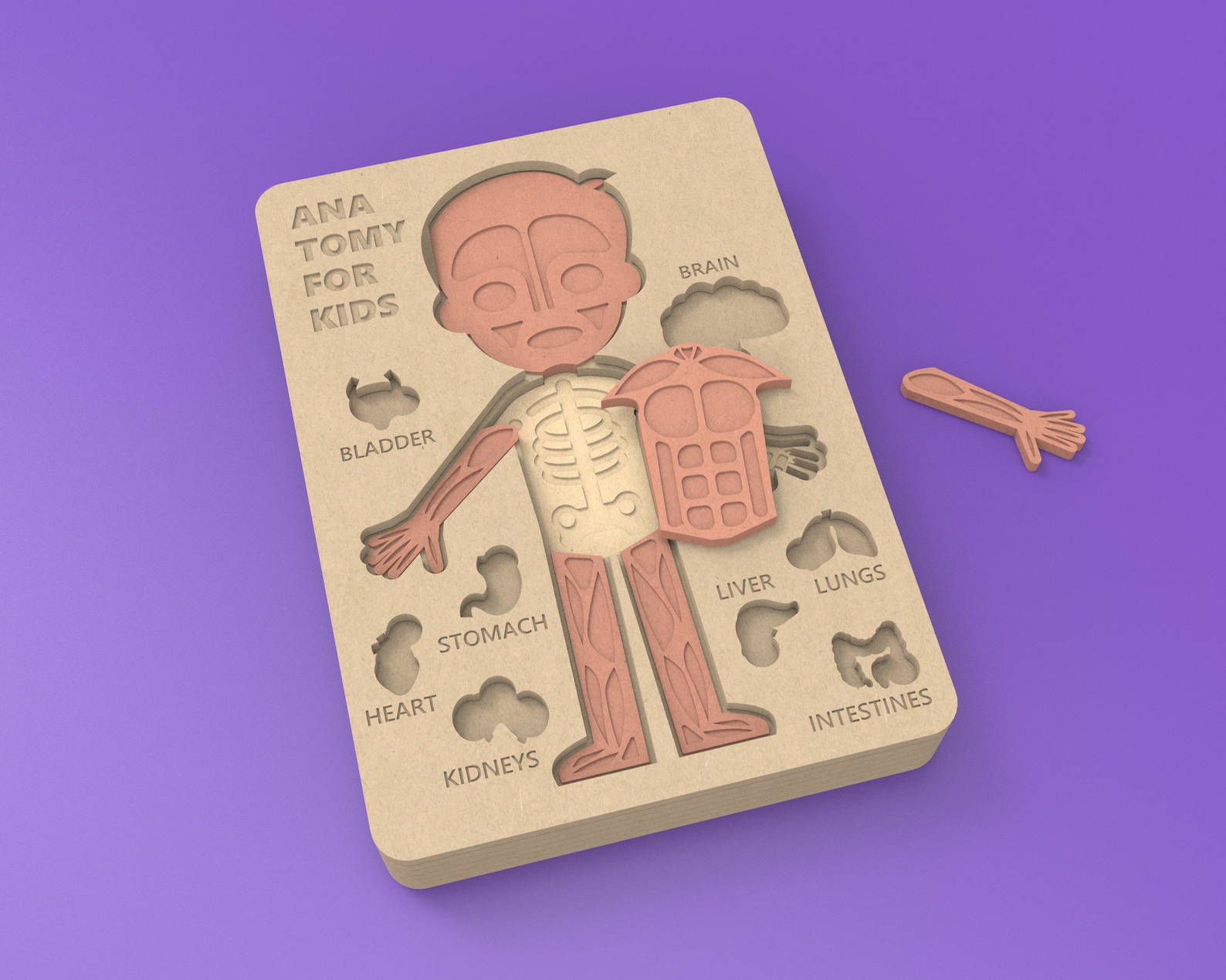 Anatomy Game for Kids: Laser Cut Toy E-file (DXF File) - Etsy