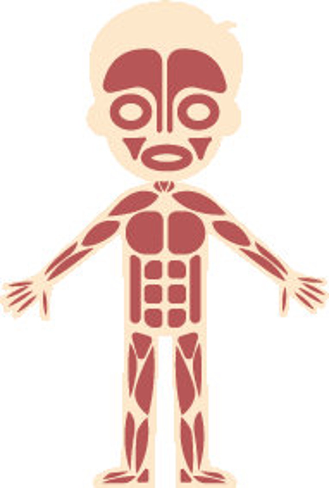 Anatomy Game for Kids: Laser Cut Toy E-file (DXF File) - Etsy