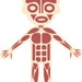 Anatomy Game for Kids: Laser Cut Toy E-file (DXF File) - Etsy