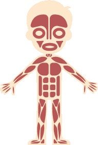 Anatomy Game for Kids: Laser Cut Toy E-file (DXF File) - Etsy