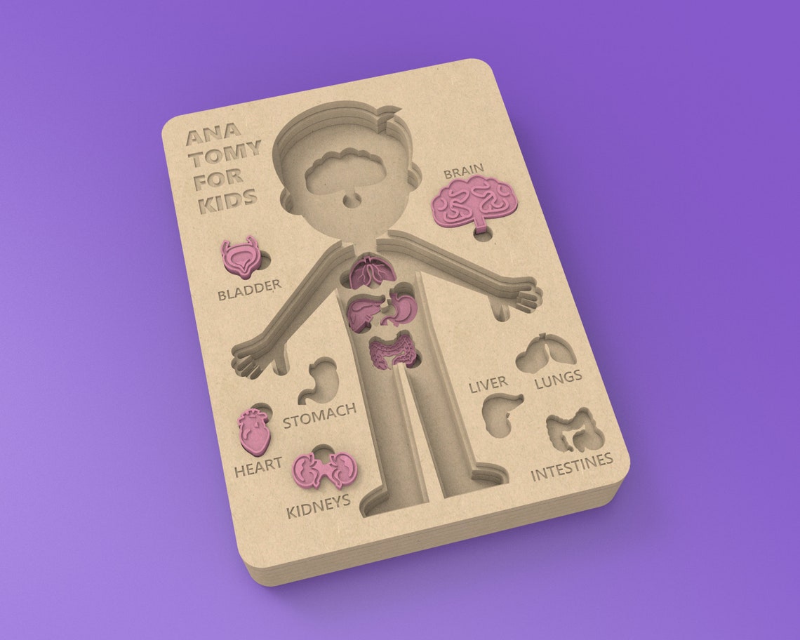 Anatomy Game for Kids: Laser Cut Toy E-file (DXF File) - Etsy