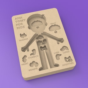 Anatomy Game for Kids: Laser Cut Toy E-file (DXF File) - Etsy