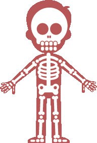 Anatomy Game for Kids: Laser Cut Toy E-file (DXF File) - Etsy