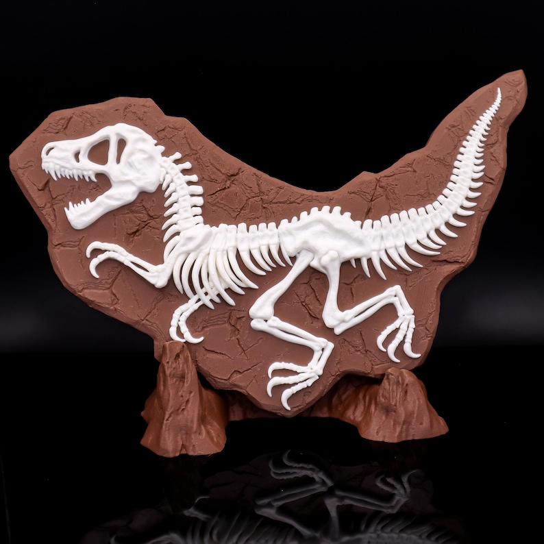 Velociraptor Skeleton Fossil 3D Printed Display Decor - Etsy