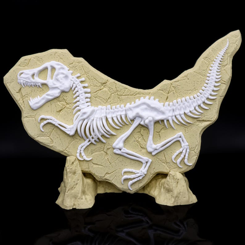 Velociraptor Skeleton Fossil 3D Printed Display Decor - Etsy