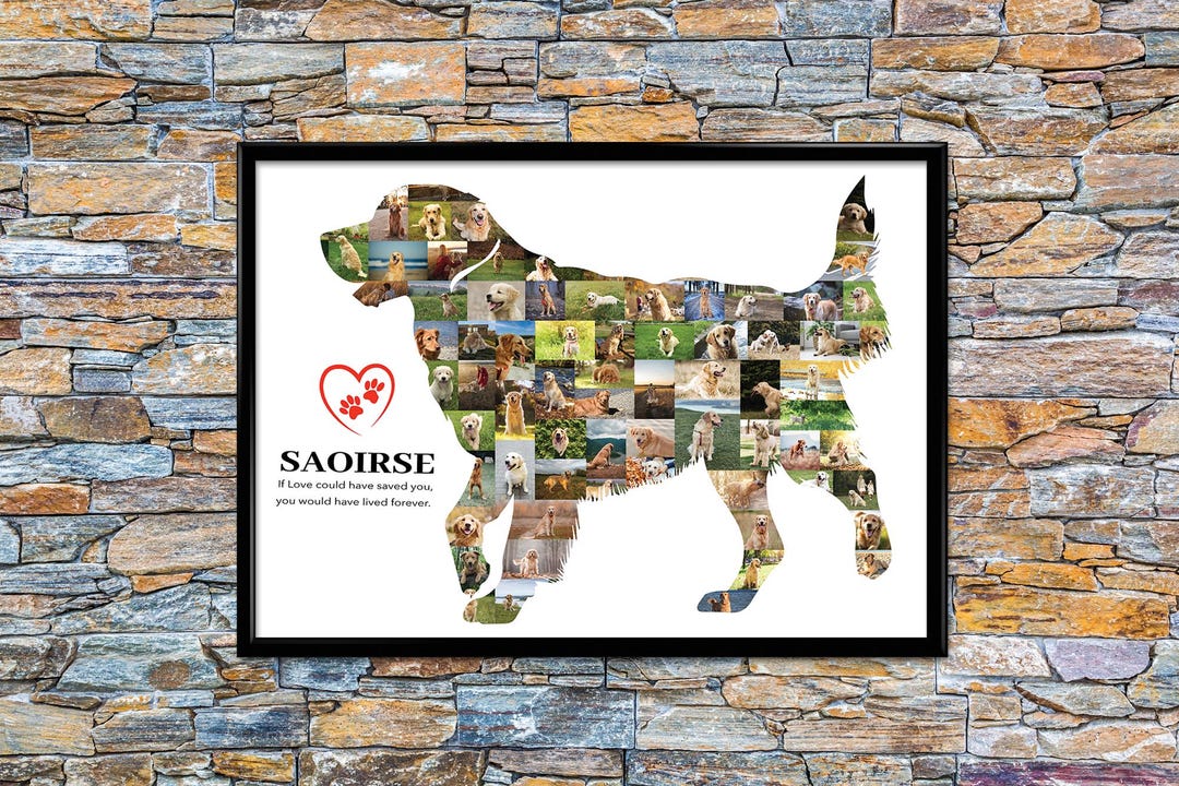 Pet Photo Collage - Etsy
