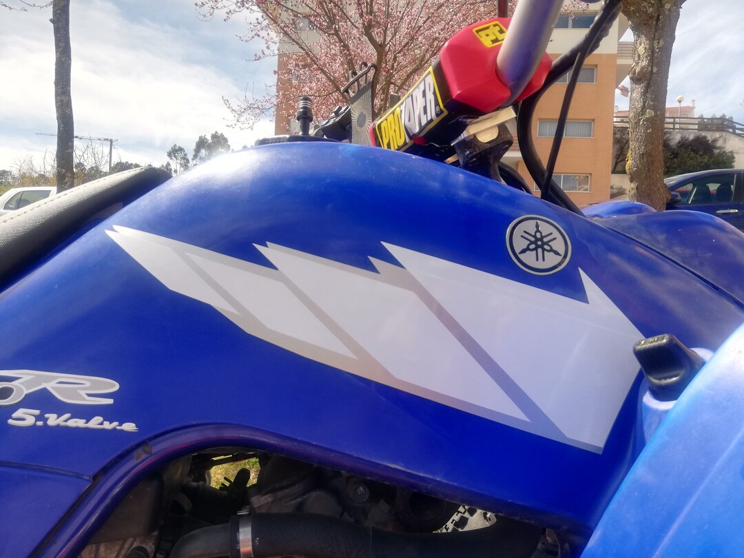 Raptor 660R - YFM 660 Quad Decals - 4x4 ATV - Fits Raptor 660R- Sticker ...