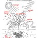 Photosynthesis Biology Science Kids Coloring Page Digital Download ...