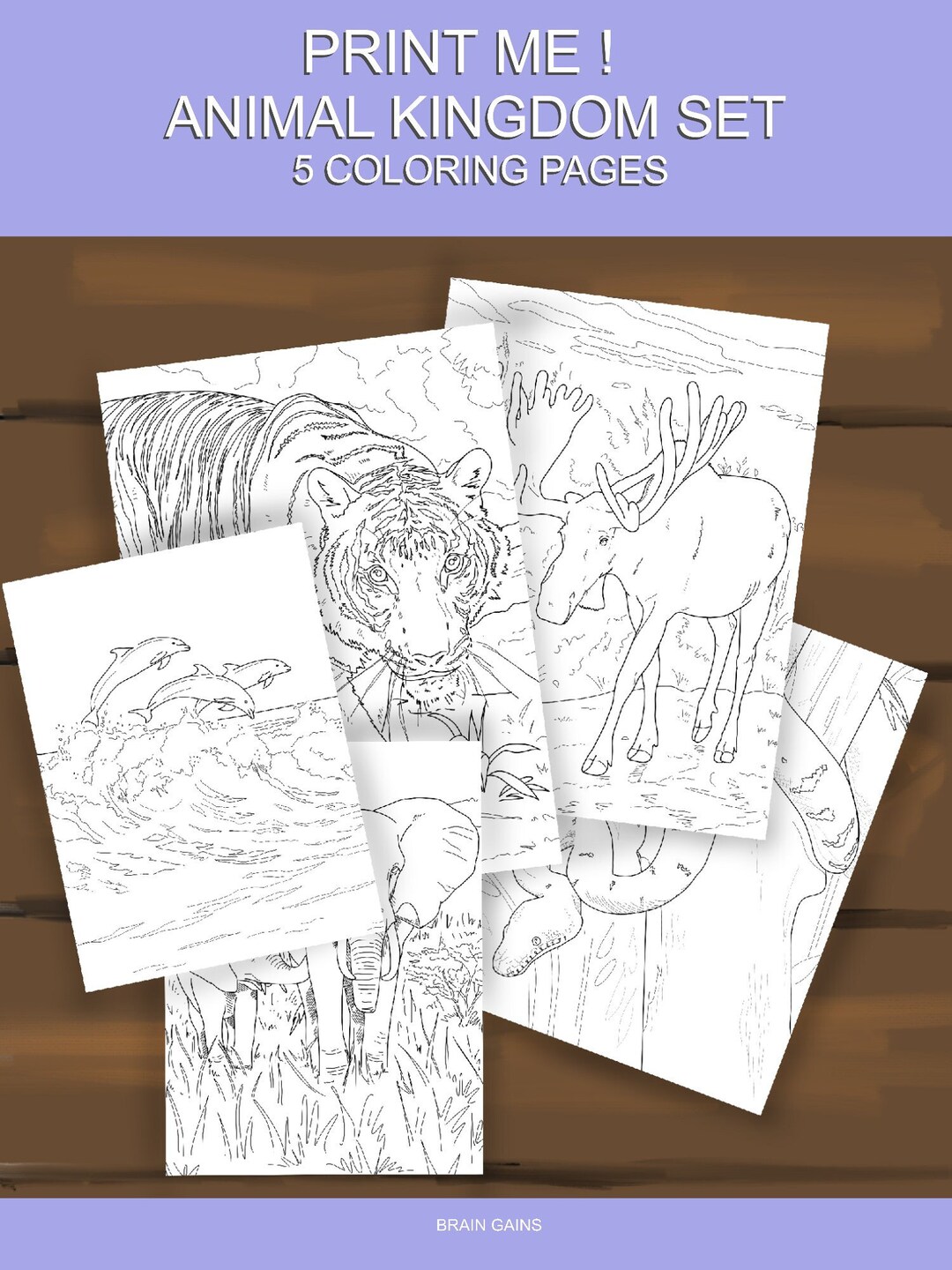 Animal Kingdom Dolphin Tiger Snake Elephant Moose Coloring Pages (5 ...