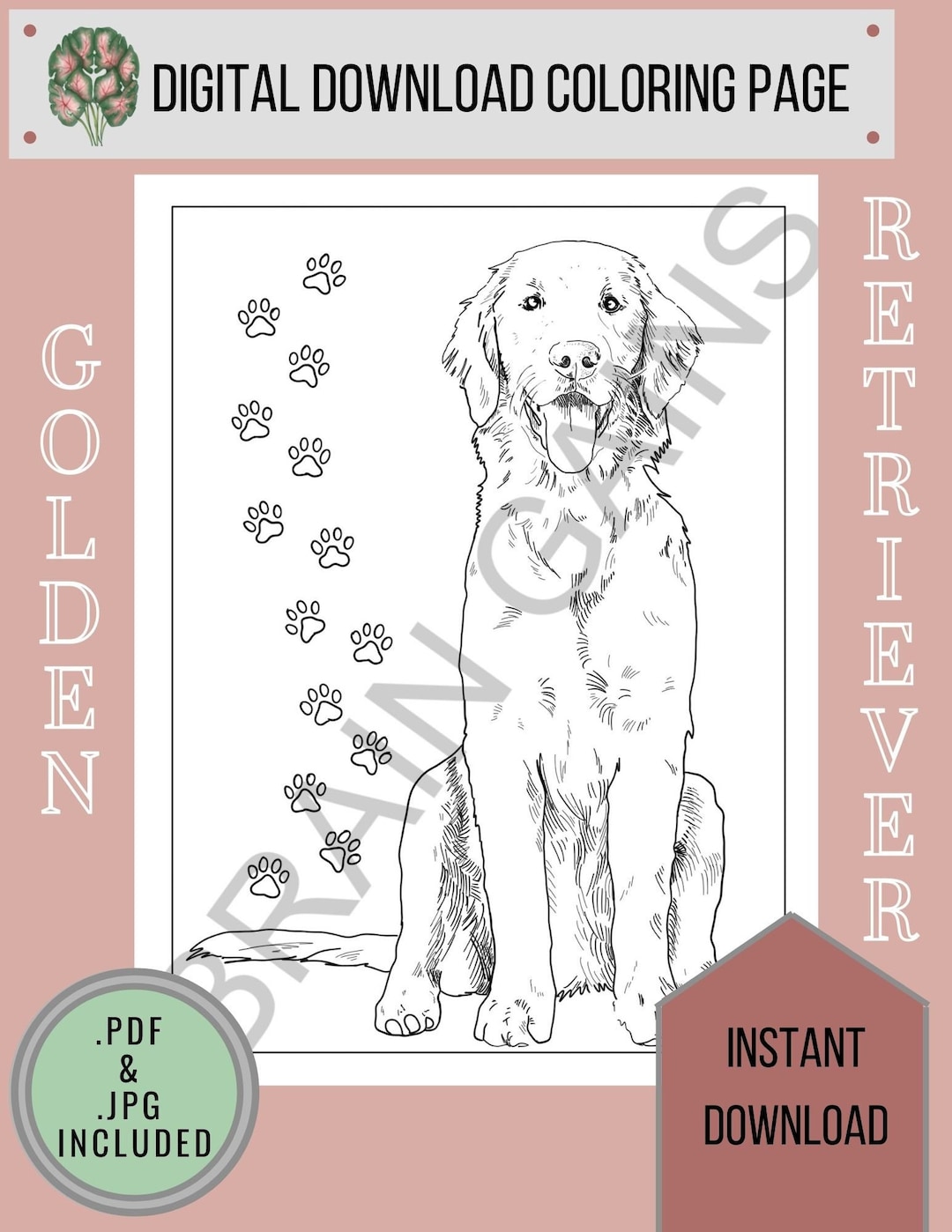 Golden Retriever Coloring Page Digital Download Printable - Etsy UK