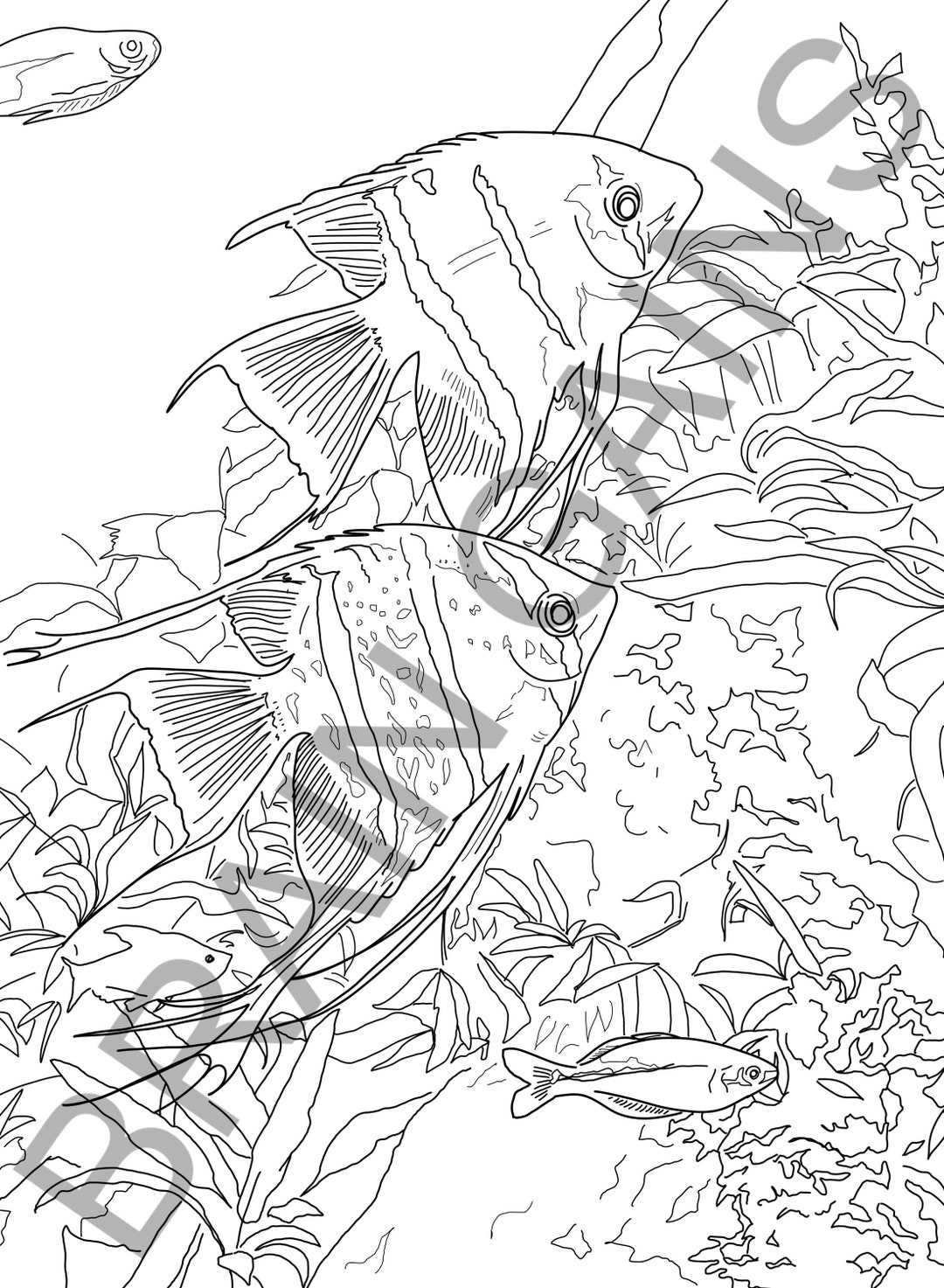 Angel Fish Coloring Page Digital Download Printable (sea Creatures) - Etsy