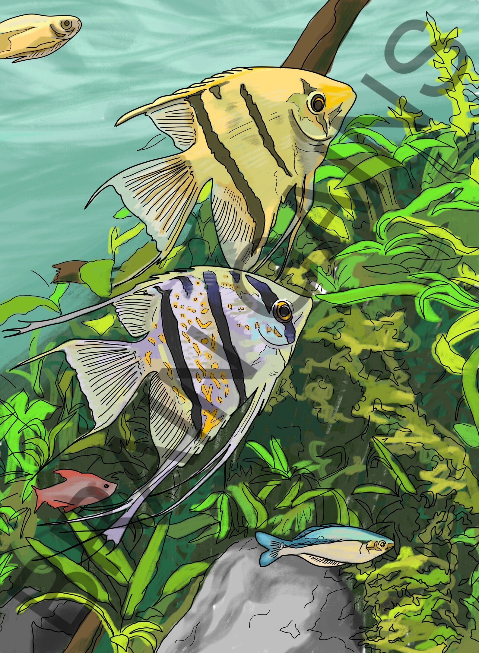 Angel Fish Coloring Page Digital Download Printable (sea Creatures) - Etsy