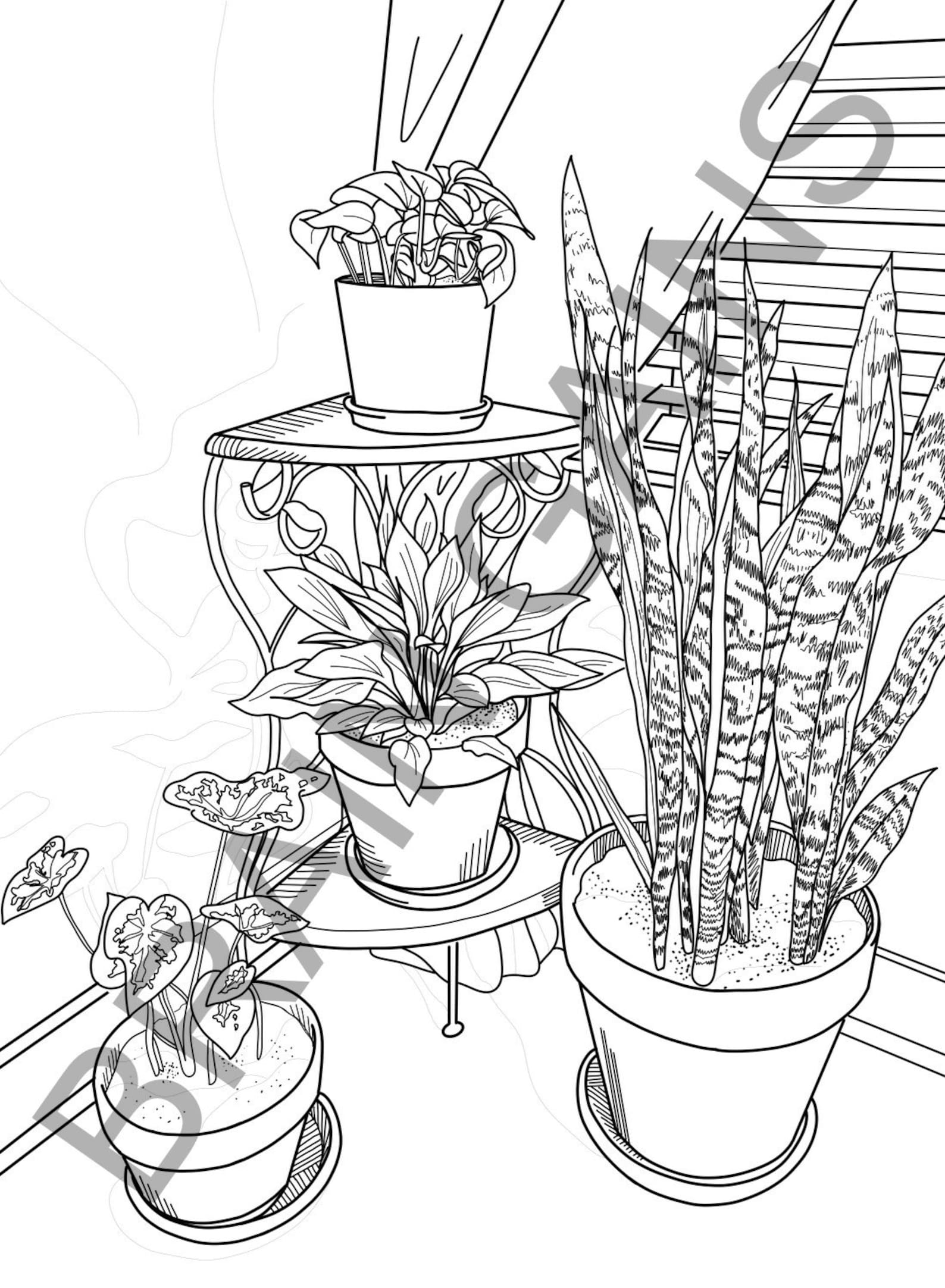 Plant Stand Coloring Page Digital Download Printable (plant Life) - Etsy