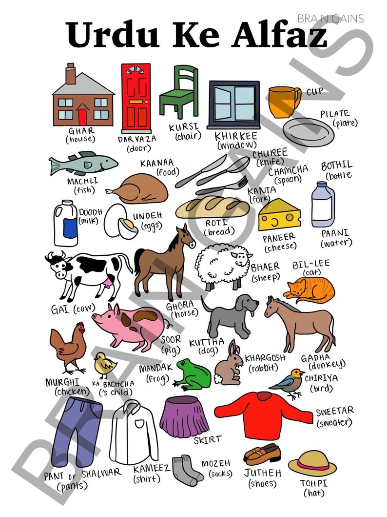 Urdu Hindi Vocabulary Pakistan Kids Language Worksheet Image Digital ...