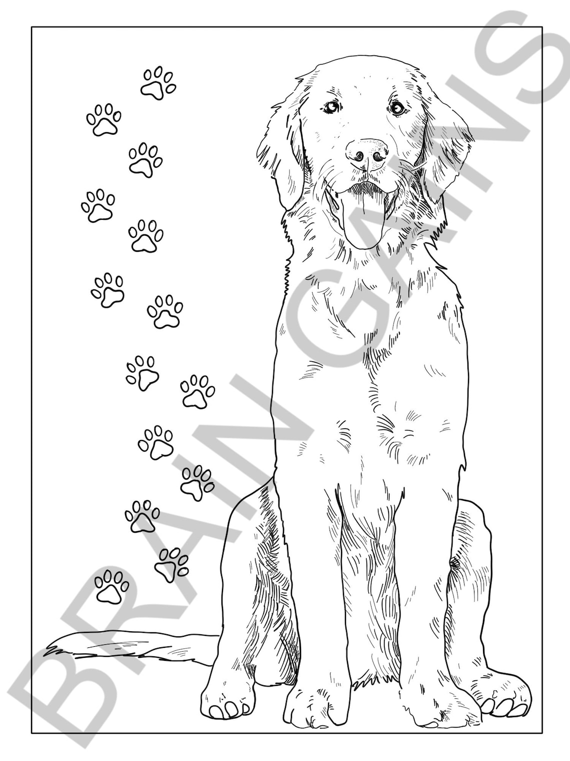 Golden Retriever Coloring Page Digital Download Printable - Etsy