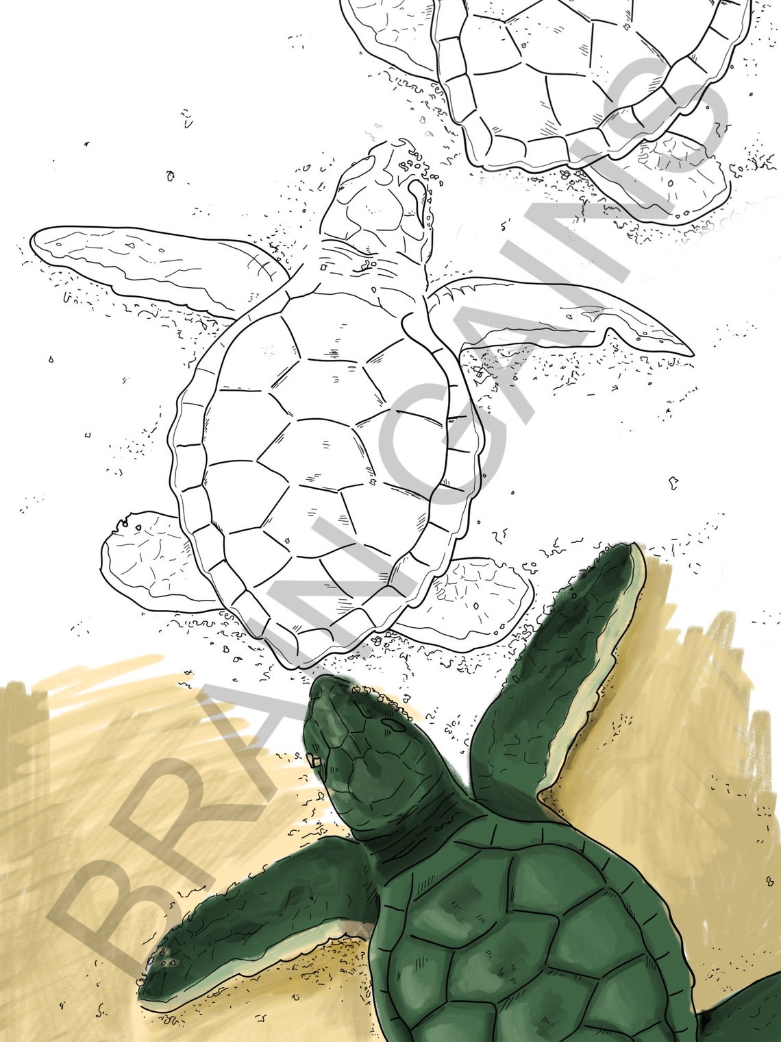Sea Turtles Coloring Page Digital Download Printable - Etsy